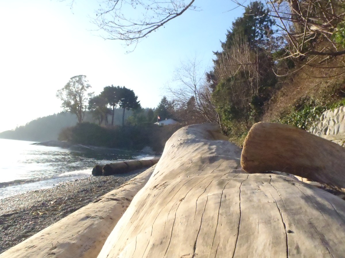 Fall Again…new beginnings – Eclectic Spirituality